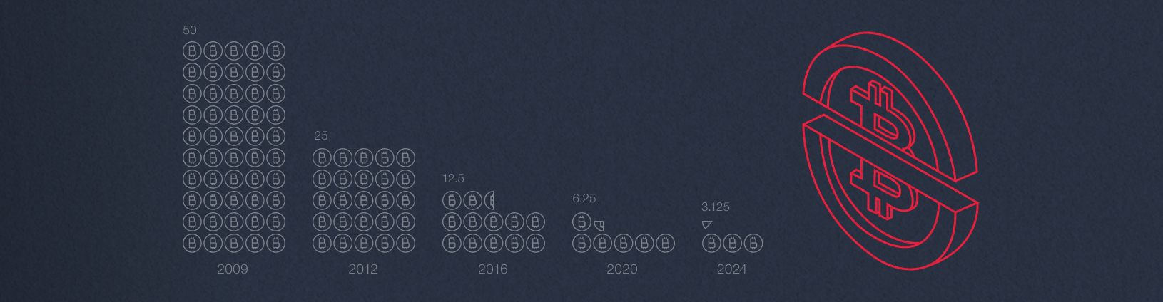 Bitcoin Halving: The Essential Guide for Exchanges, Neobanks, and ...